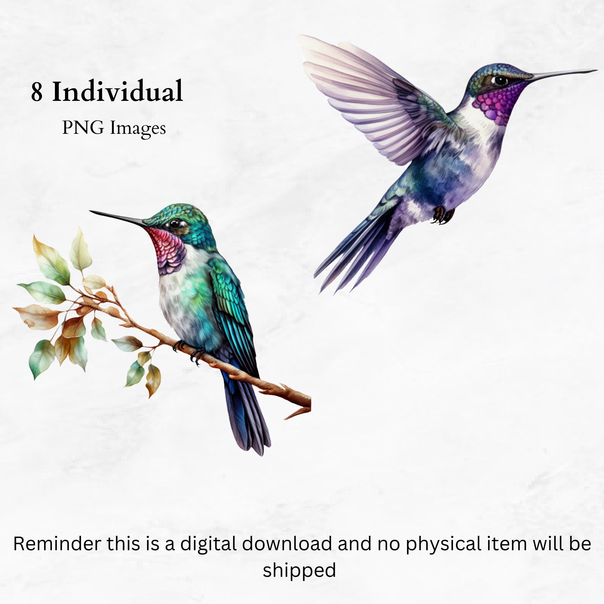 Hummingbird Watercolor Clipart Set Cute Bird Transparent - Etsy