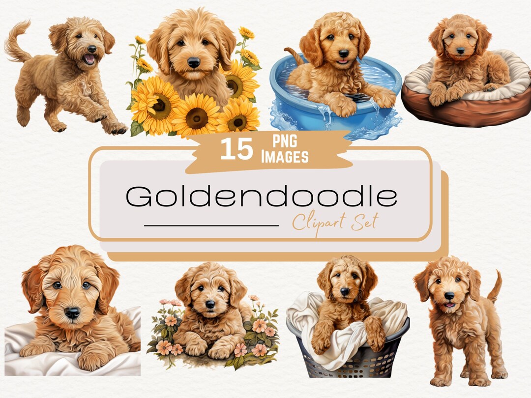Watercolor Goldendoodle Puppies Clipart Bundle, Adorable Dog ...