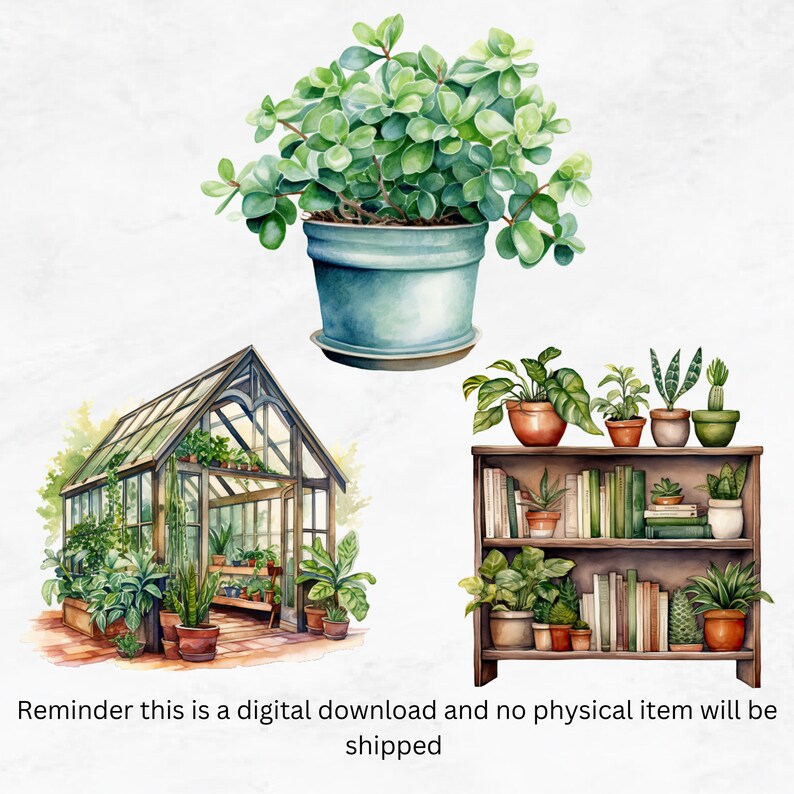 Indoor Plants Watercolor Clipart Bundle, House Plant Clipart, Gardening ...