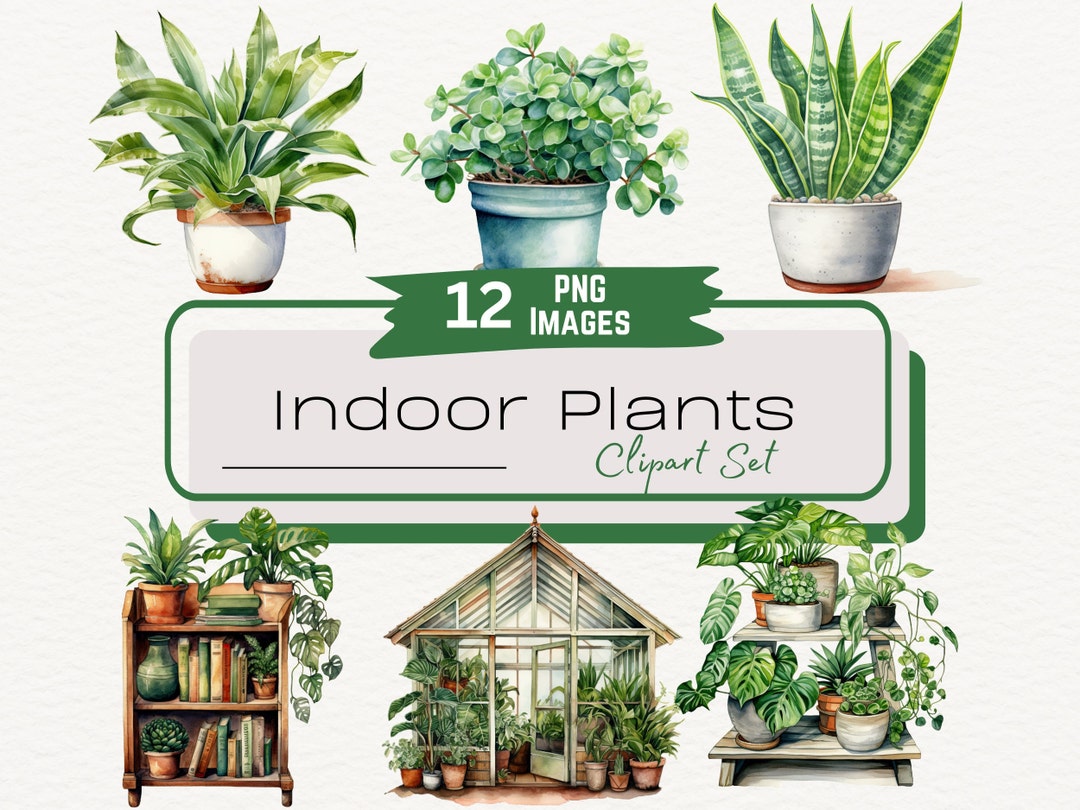 Indoor Plants Watercolor Clipart Bundle, House Plant Clipart, Gardening ...