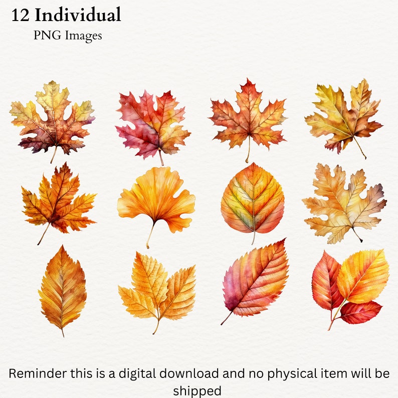 Fall Leaves Clipart Set, Fall Foliage, Autumn Leaf Clipart, Cozy Fall ...