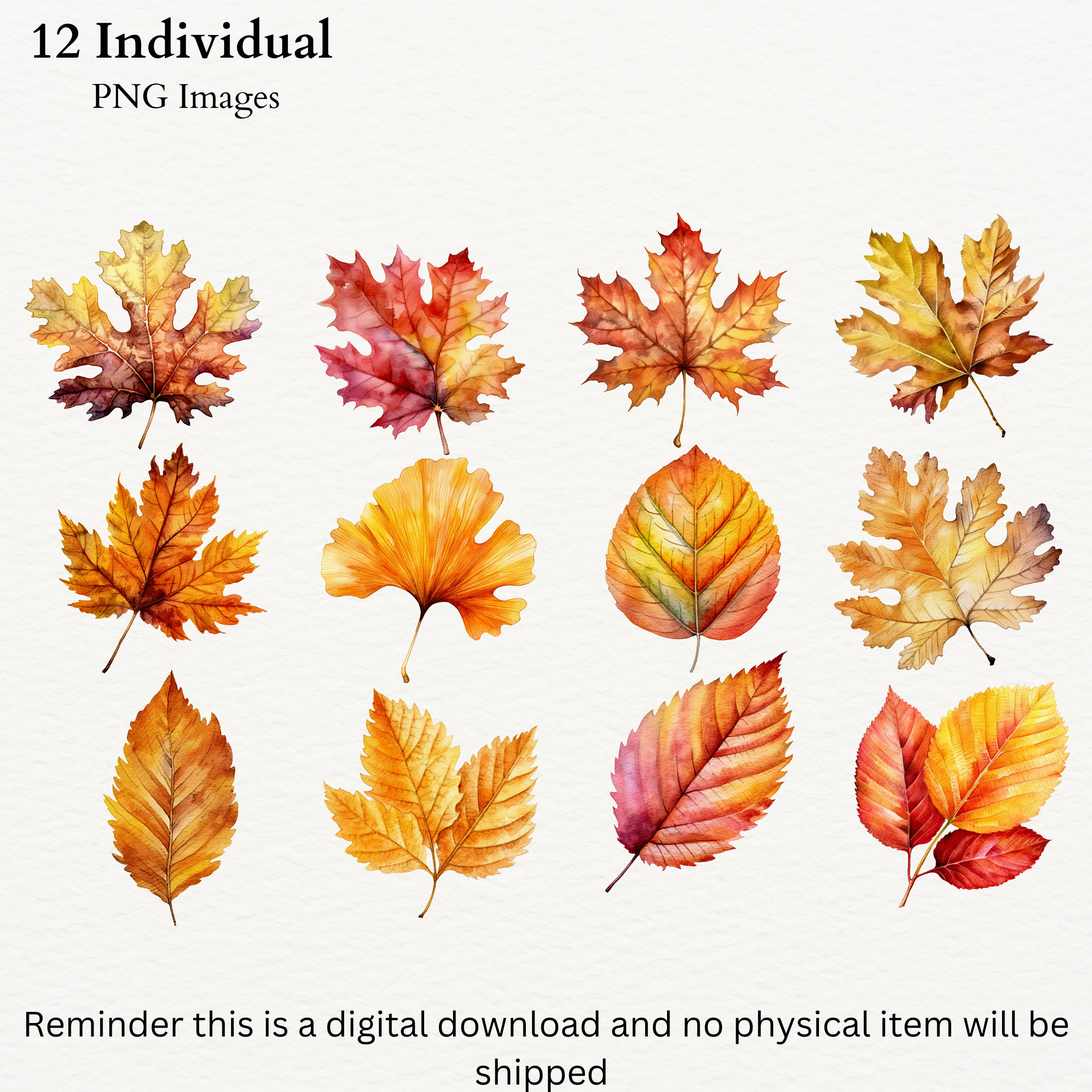 Fall Leaves Clipart Set, Fall Foliage, Autumn Leaf Clipart, Cozy Fall ...