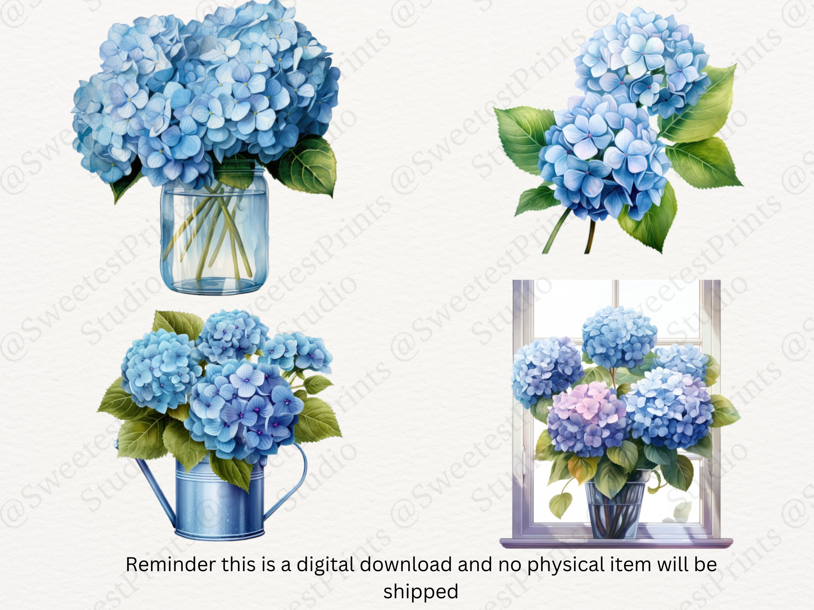 Watercolor Blue Hydrangea Clipart Bundle, Spring Floral Bouquets ...
