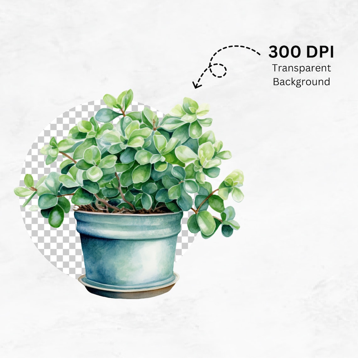 Indoor Plants Watercolor Clipart Bundle, House Plant Clipart, Gardening ...