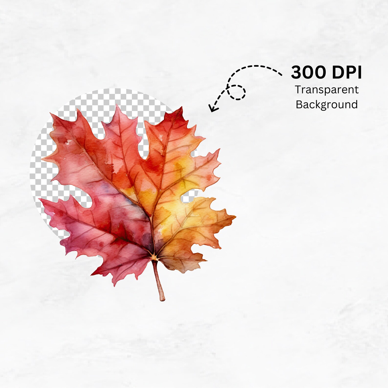 Fall Leaves Clipart Set, Fall Foliage, Autumn Leaf Clipart, Cozy Fall ...