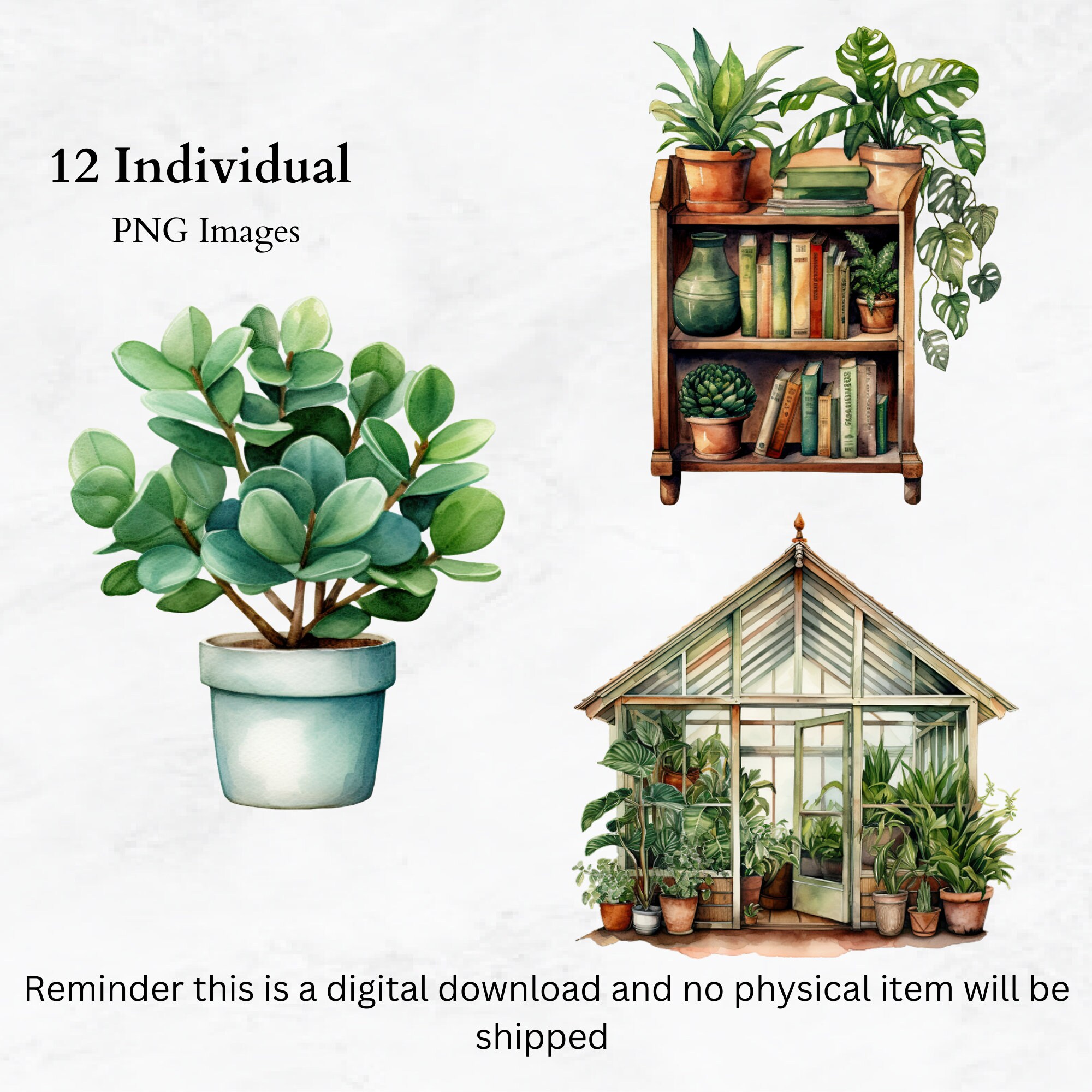 Indoor Plants Watercolor Clipart Bundle, House Plant Clipart, Gardening ...