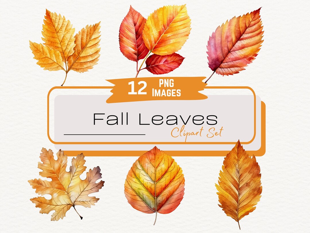 Fall Leaves Clipart Set, Fall Foliage, Autumn Leaf Clipart, Cozy Fall ...