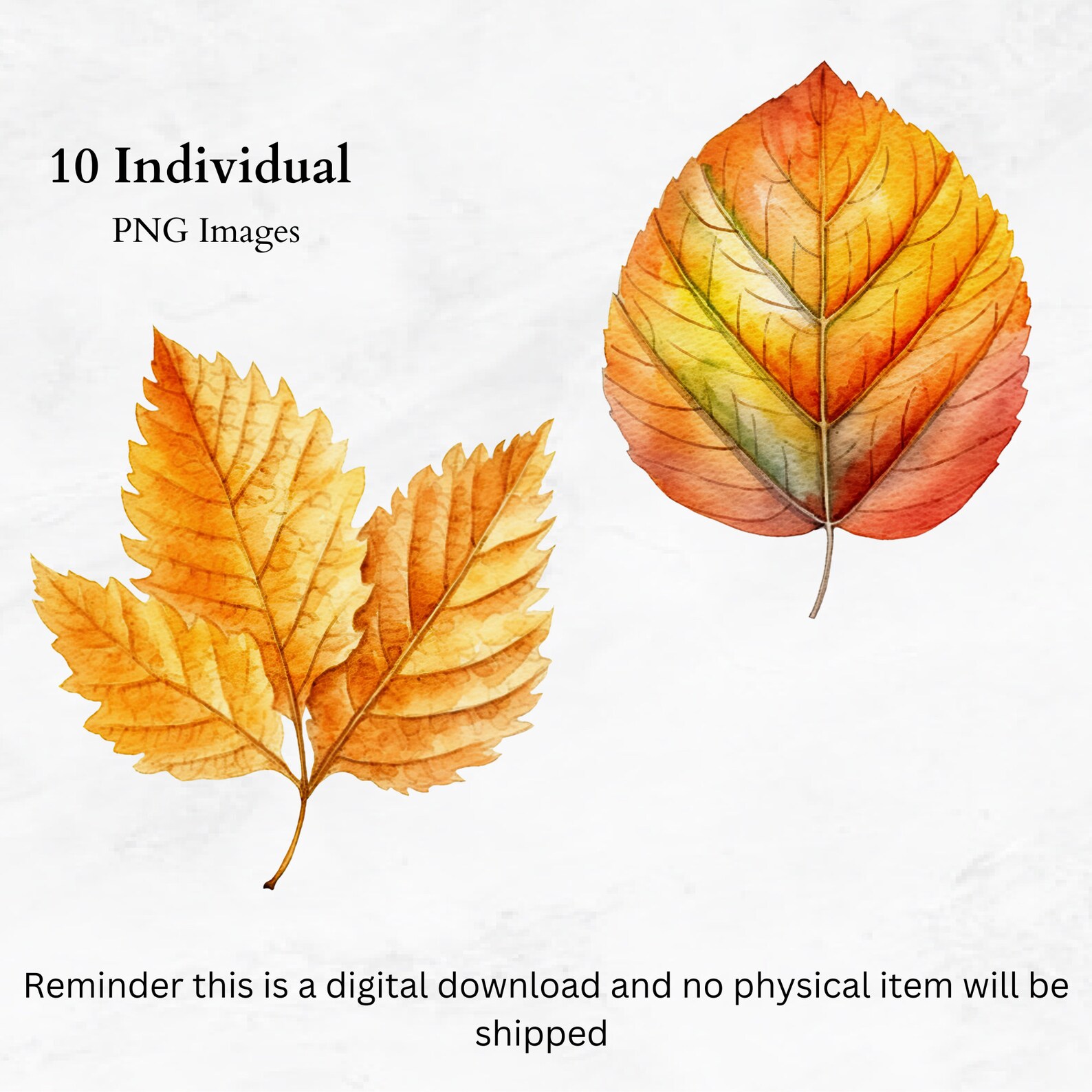 Fall Leaves Clipart Set, Fall Foliage, Autumn Leaf Clipart, Cozy Fall ...