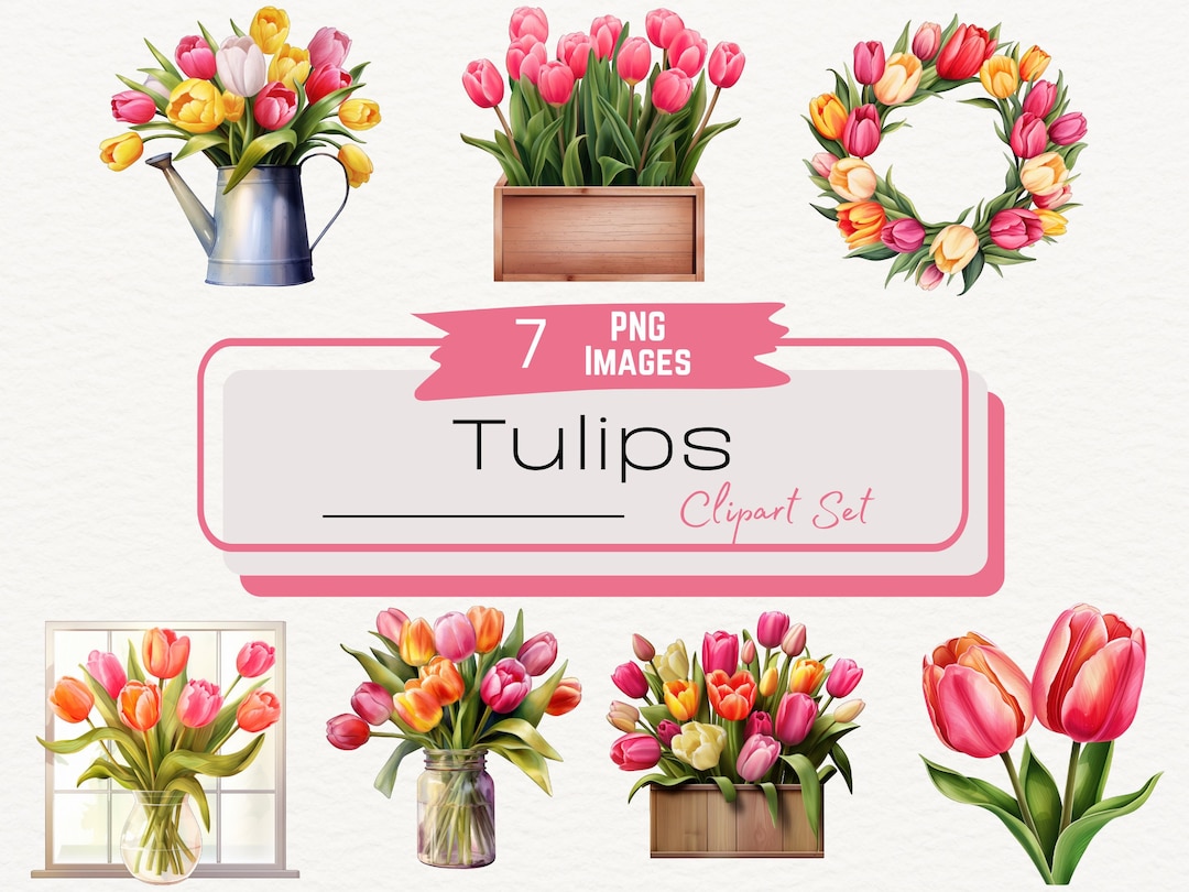 Watercolor Colorful Tulips Clipart Bundle, Spring Floral Bouquet ...