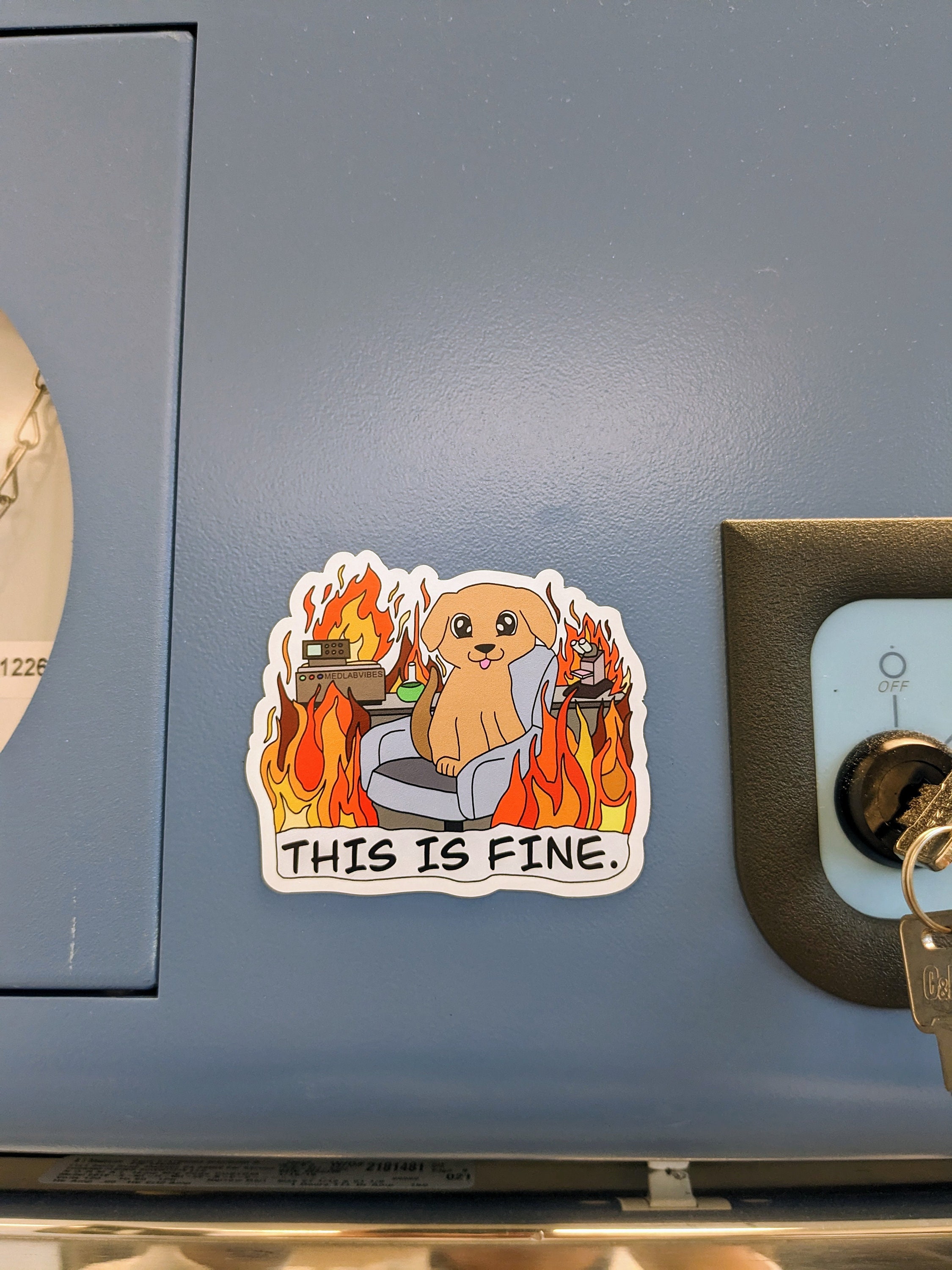 Lab This is Fine Magnet Dog Meme Laboratory Magnet Funny - Etsy