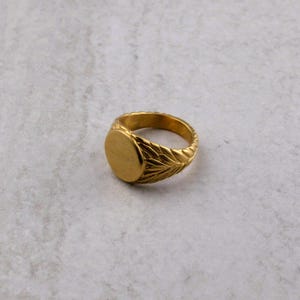 Gold Circle Signet Ring Wreath Stainless Steel 7-12 - Mens Statement ...