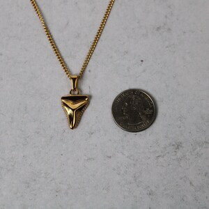 18K Gold Shark Tooth Pendant Chain Necklace Stainless Steel - Small ...