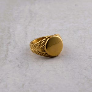 Gold Circle Signet Ring Wreath Stainless Steel 7-12 - Mens Statement ...