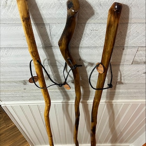 Hiking Walking Stick - Etsy