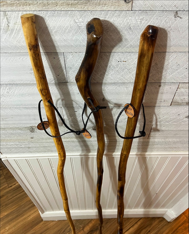 Hiking Walking Stick - Etsy