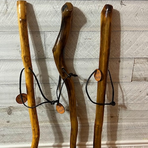 Hiking Walking Stick - Etsy