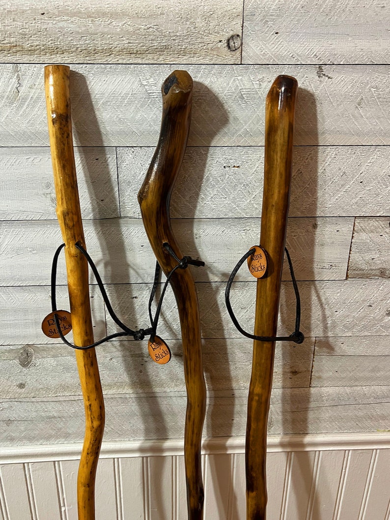 Hiking Walking Stick - Etsy