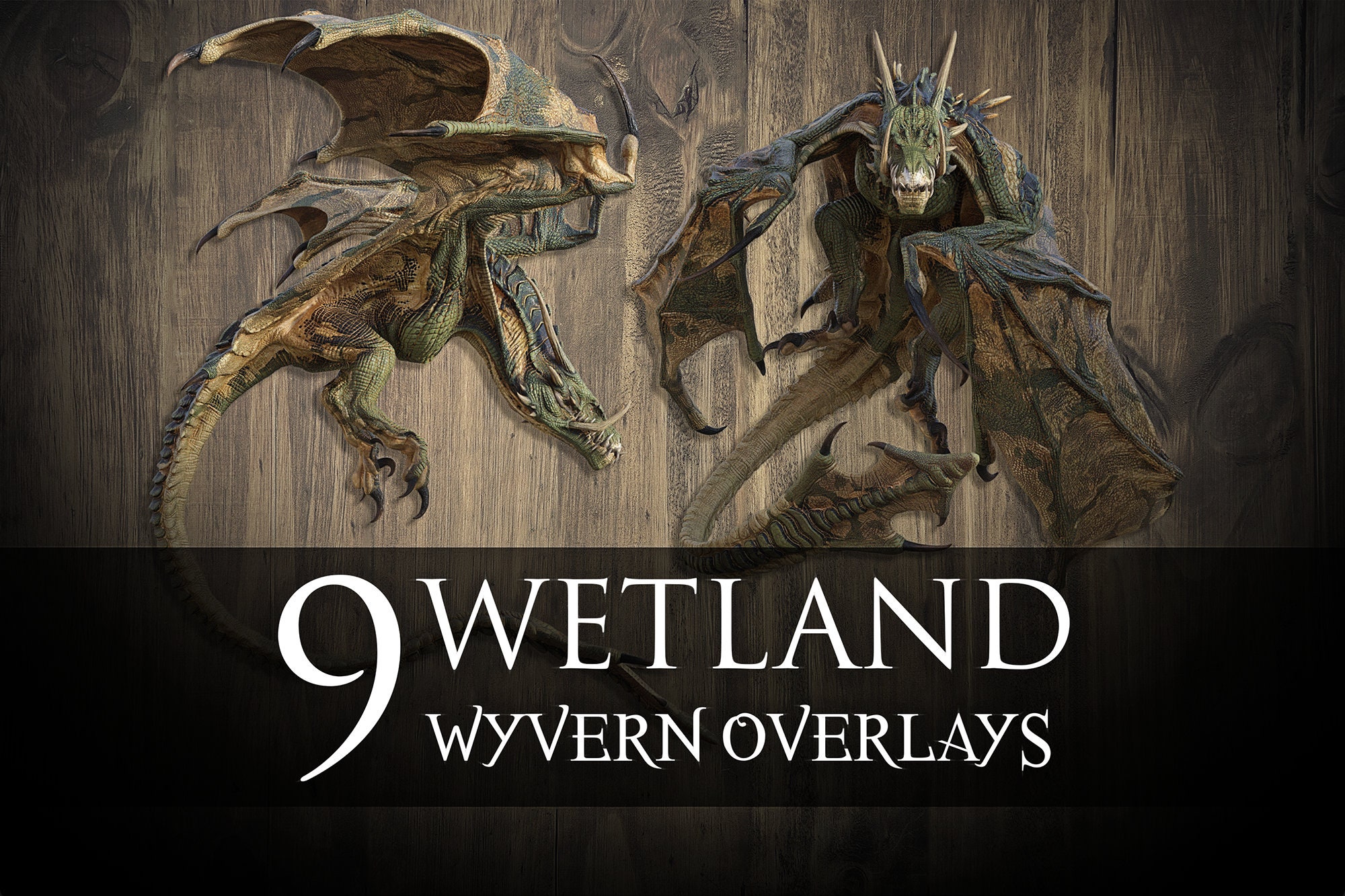 9 Wetland Wyvern Overlays | Model | Overlays | Fantasy | Render | Stock ...