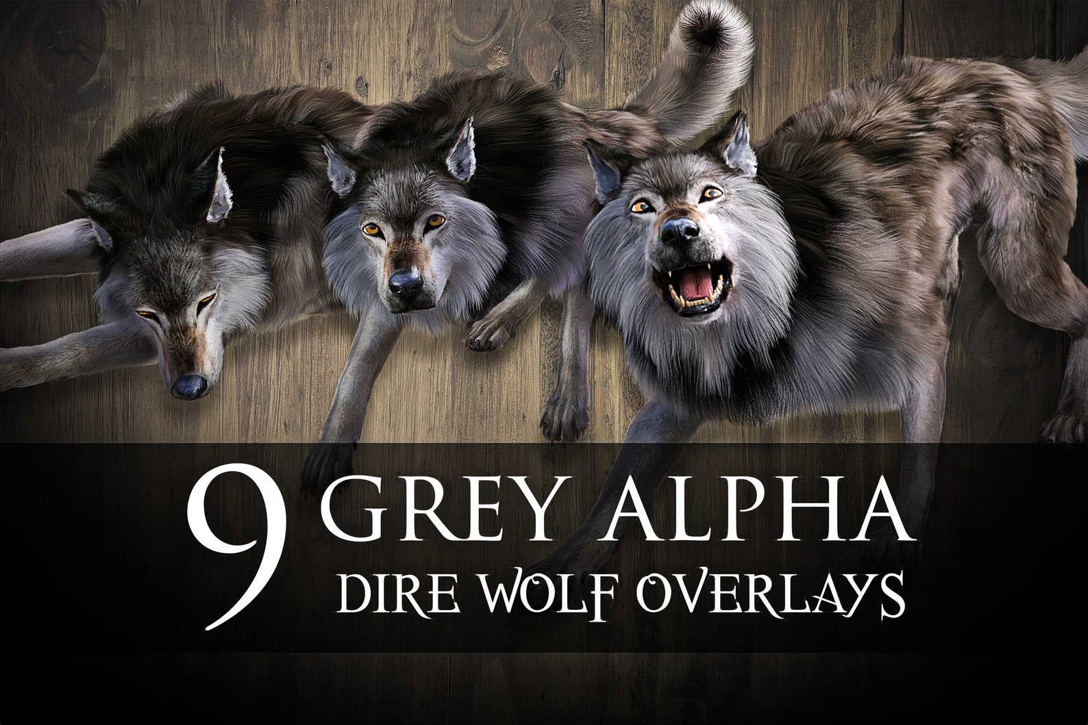 9 Grey Alpha Dire Wolf Overlays | Model | Overlays | Fantasy | Render | Stock | PNG - Etsy