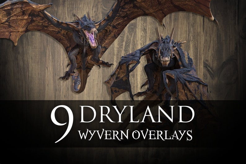 9 Dryland Wyvern Overlays | Model | Overlays | Fantasy | Render | Stock ...
