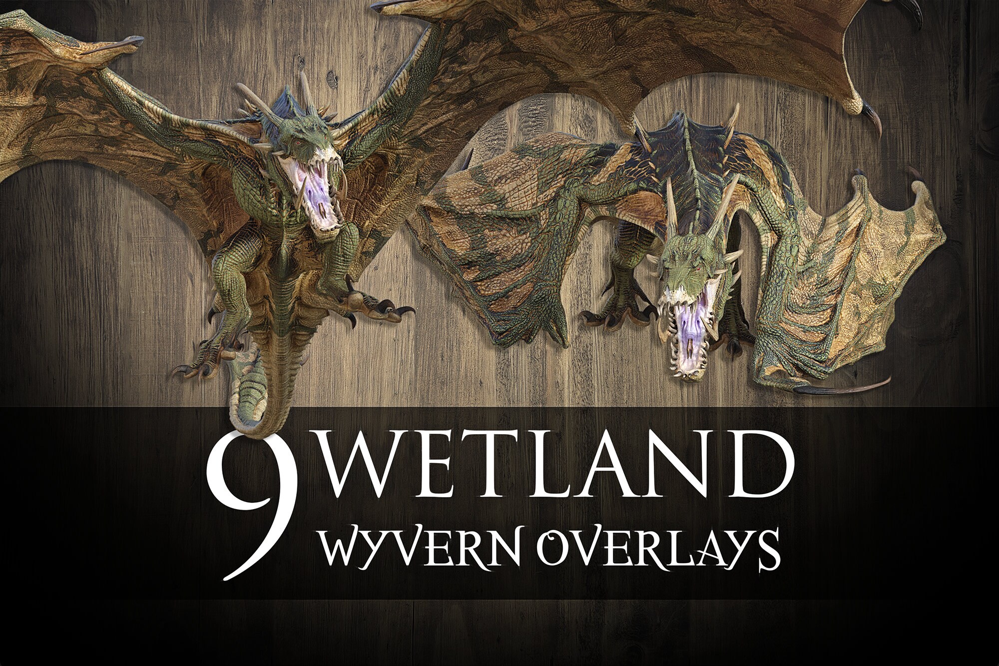 9 Wetland Wyvern Overlays | Model | Overlays | Fantasy | Render | Stock ...