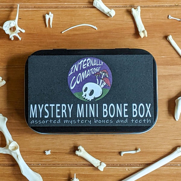 Small Curio Cabinet - Etsy