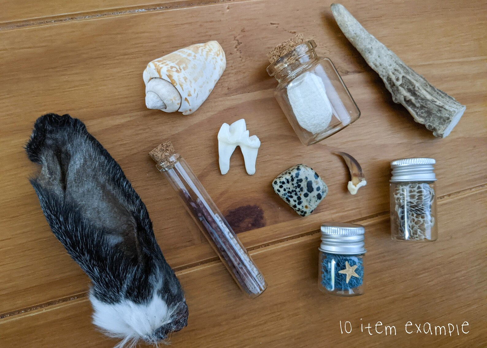 Curiosities Mystery Box Curio Cabinet Starter Collection - Etsy