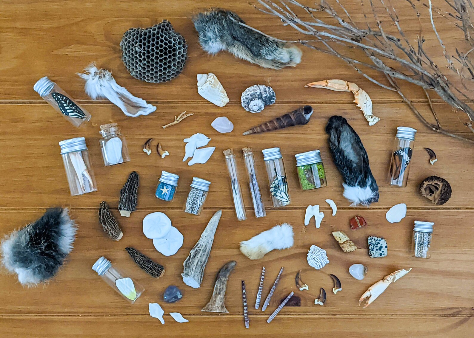 Curiosities Mystery Box Curio Cabinet Starter Collection - Etsy