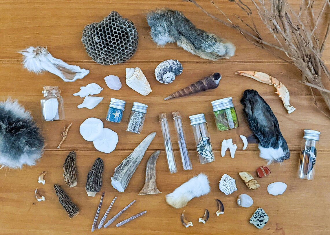 Curiosities Mystery Box Curio Cabinet Starter Collection - Etsy