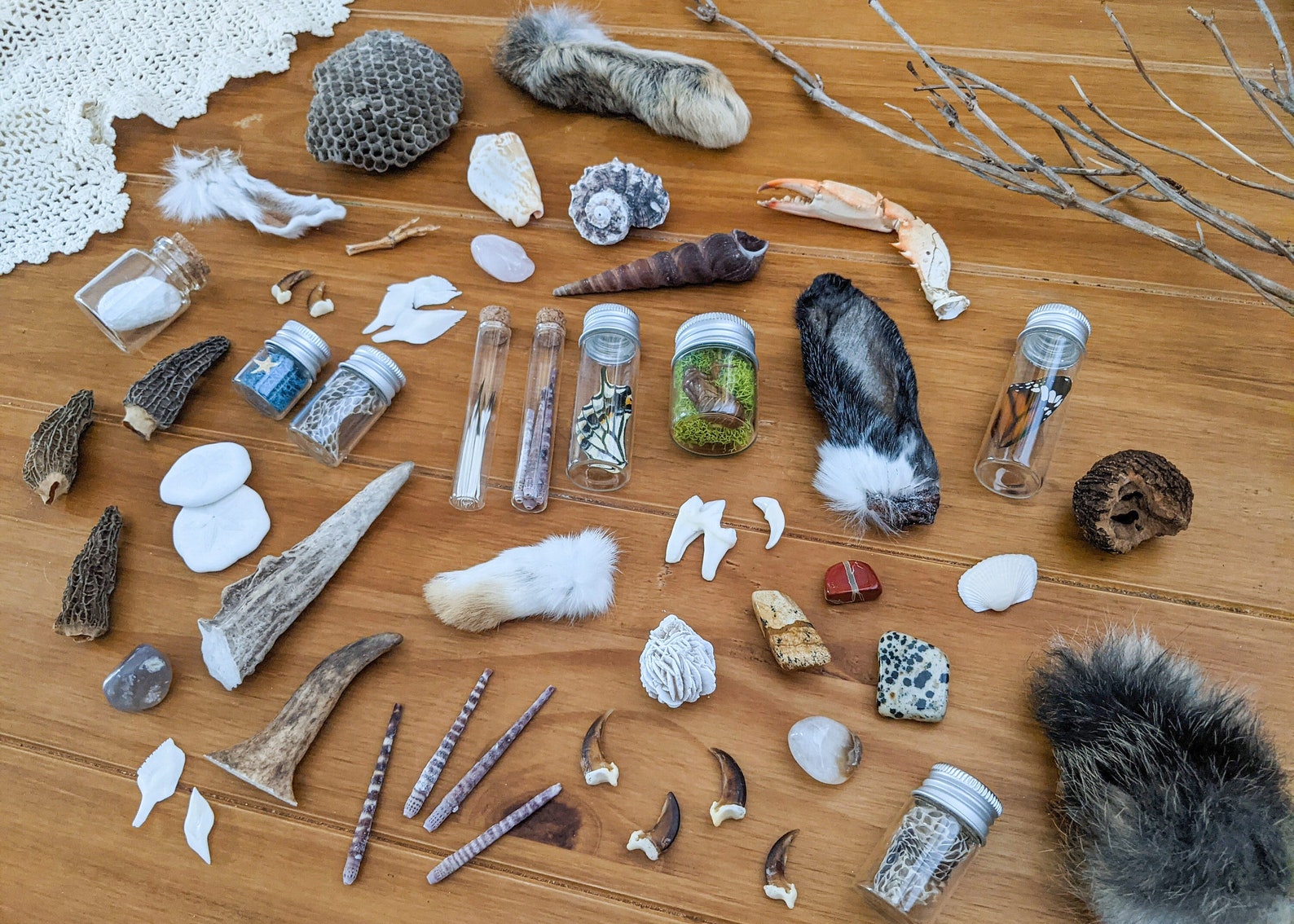 Curiosities Mystery Box Curio Cabinet Starter Collection - Etsy