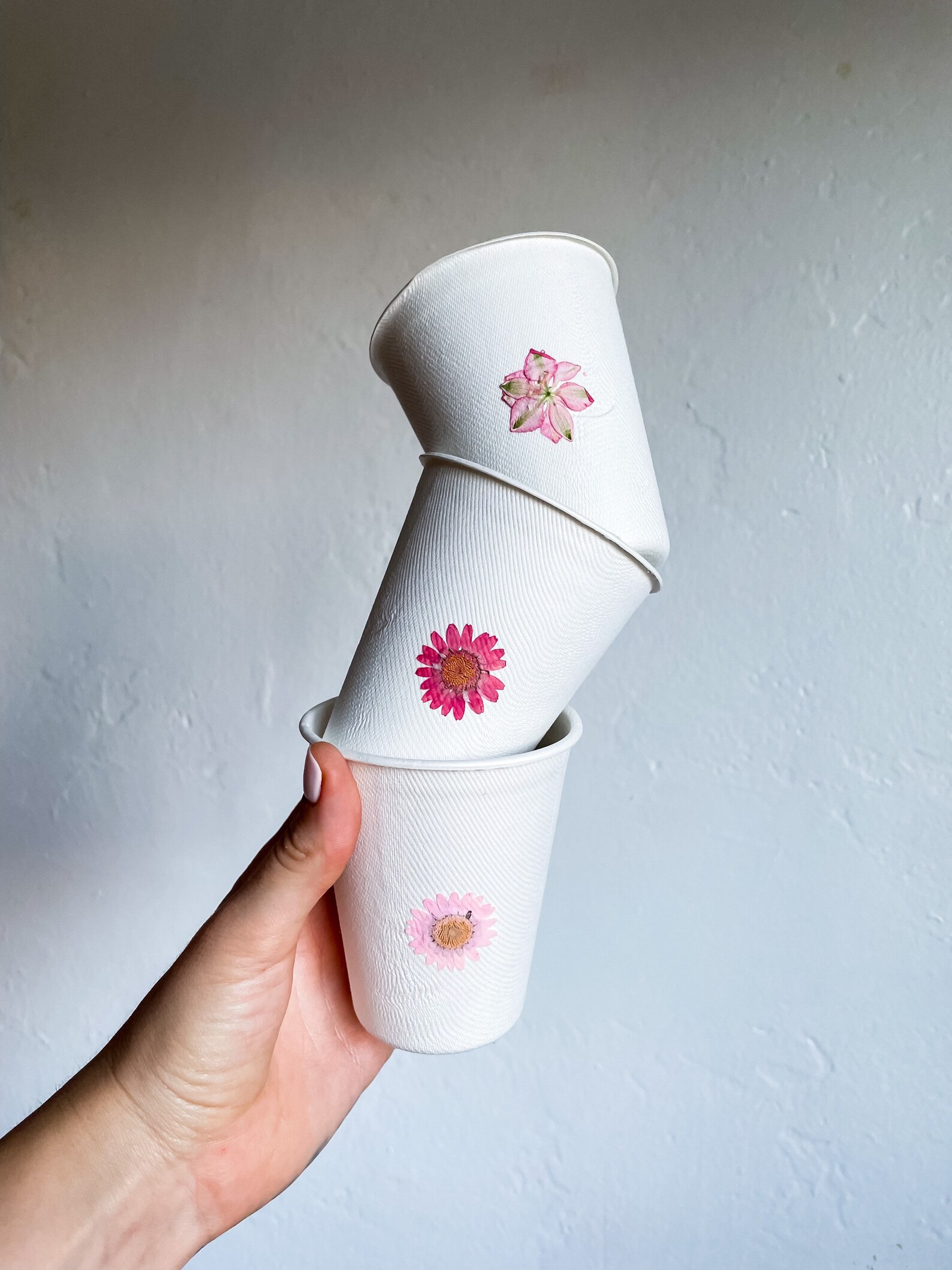 Pink Party Cups With Dried Flower Decor 30 per Package - Etsy