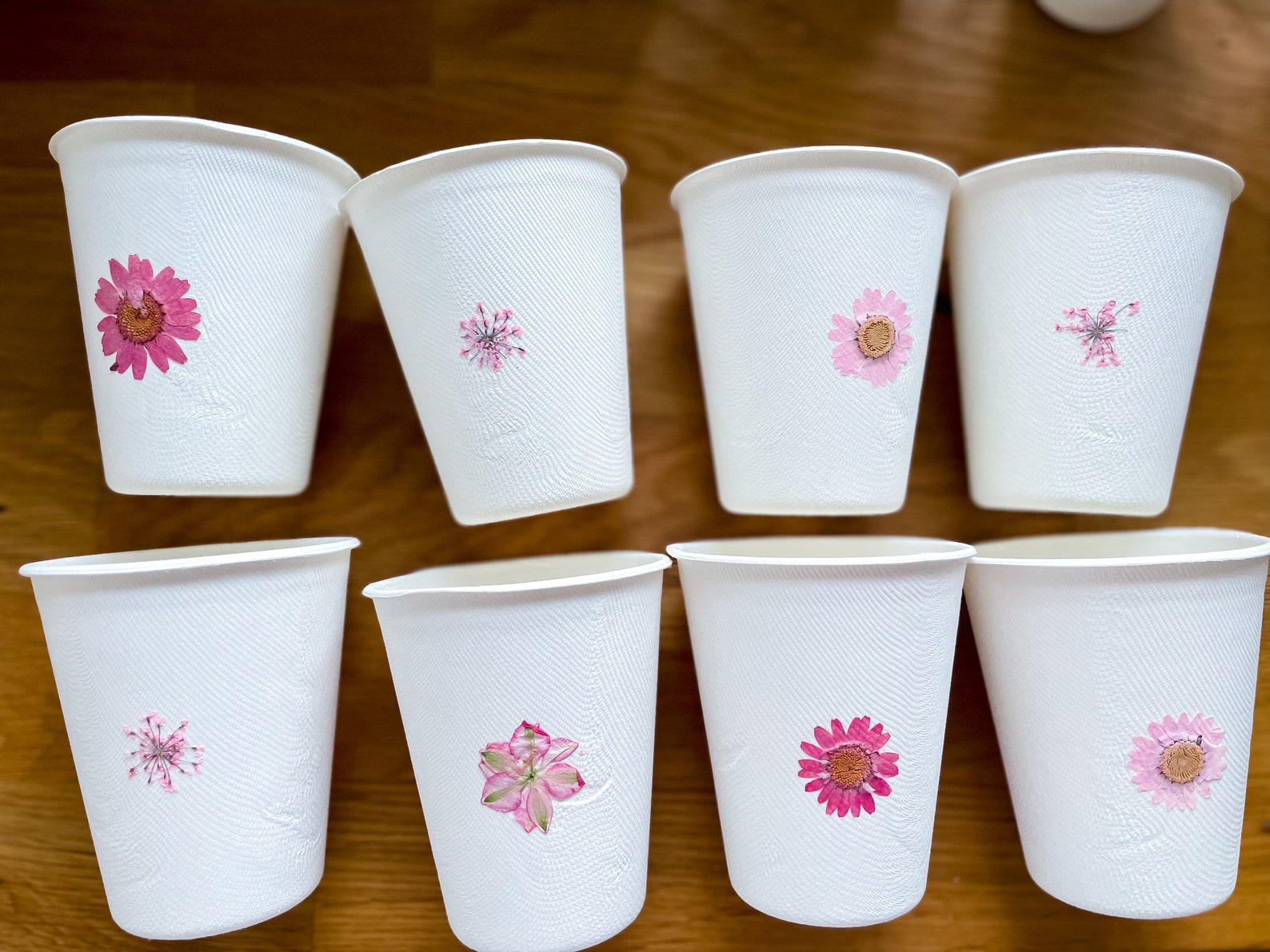 Pink Party Cups With Dried Flower Decor 30 per Package - Etsy