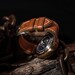 Golden Monster Vachetta Veg Leather Strap for Panerai Watches, Handmade ...