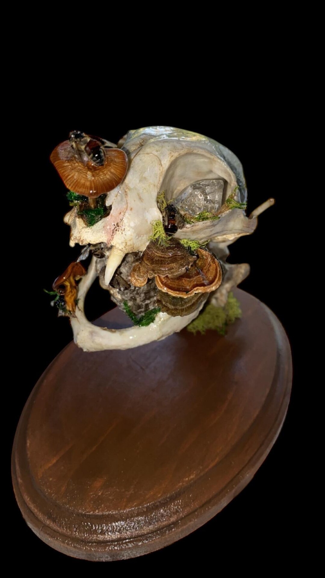 Chimera Skull Art - Etsy