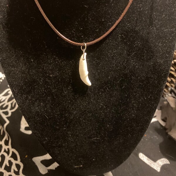 Fox Tooth Necklace - Etsy