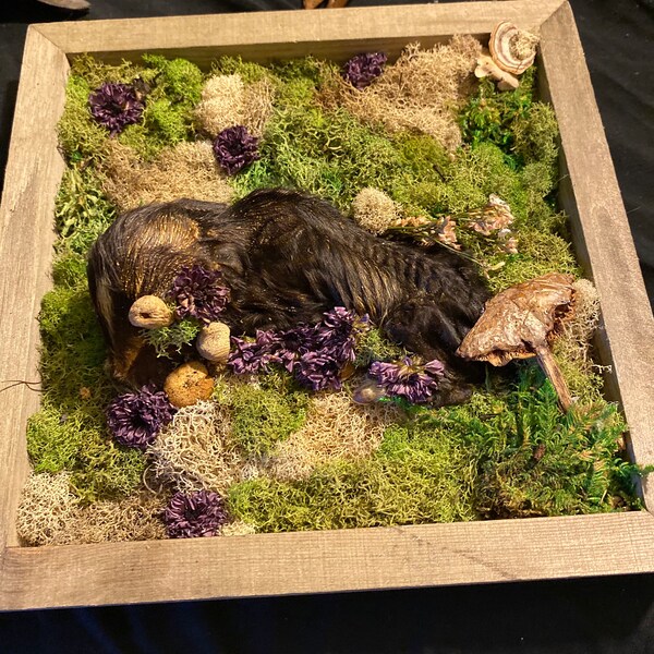 Mummified - Etsy