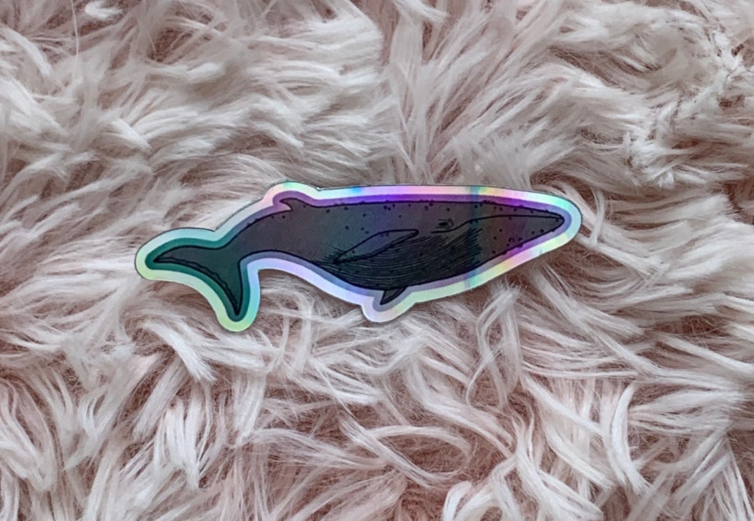 Cute Whale Sticker, Holographic Ocean Lover - Etsy