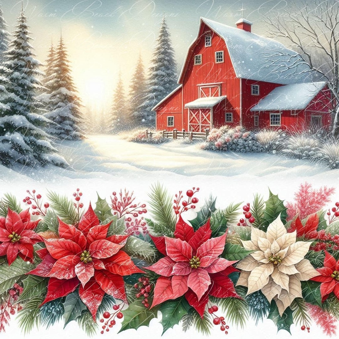 Vintage Winter Barn Clipart: Christmas Poinsettias (PNG JPEG Digital ...