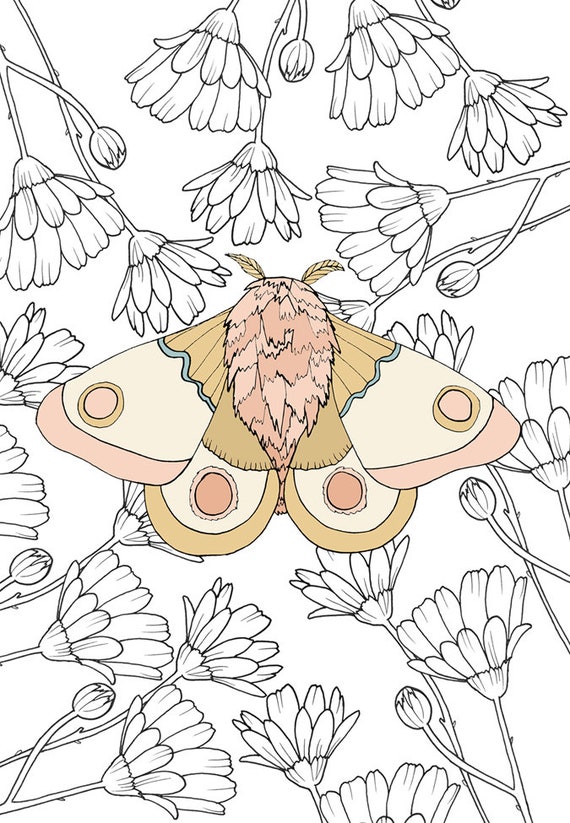 Moth and Flowers in Neutral Printable Poster Digital Art | Etsy