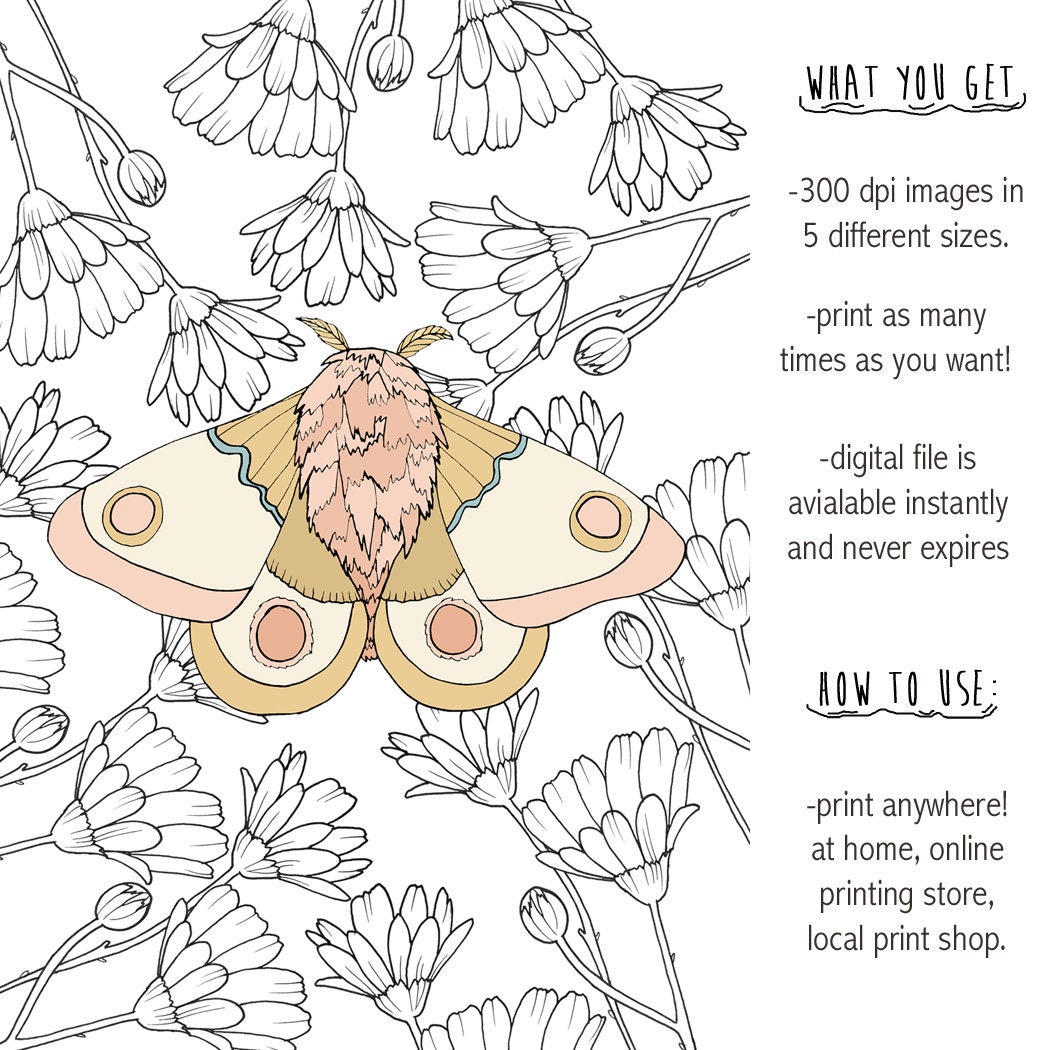 Moth and Flowers in Neutral Printable Poster Digital Art | Etsy