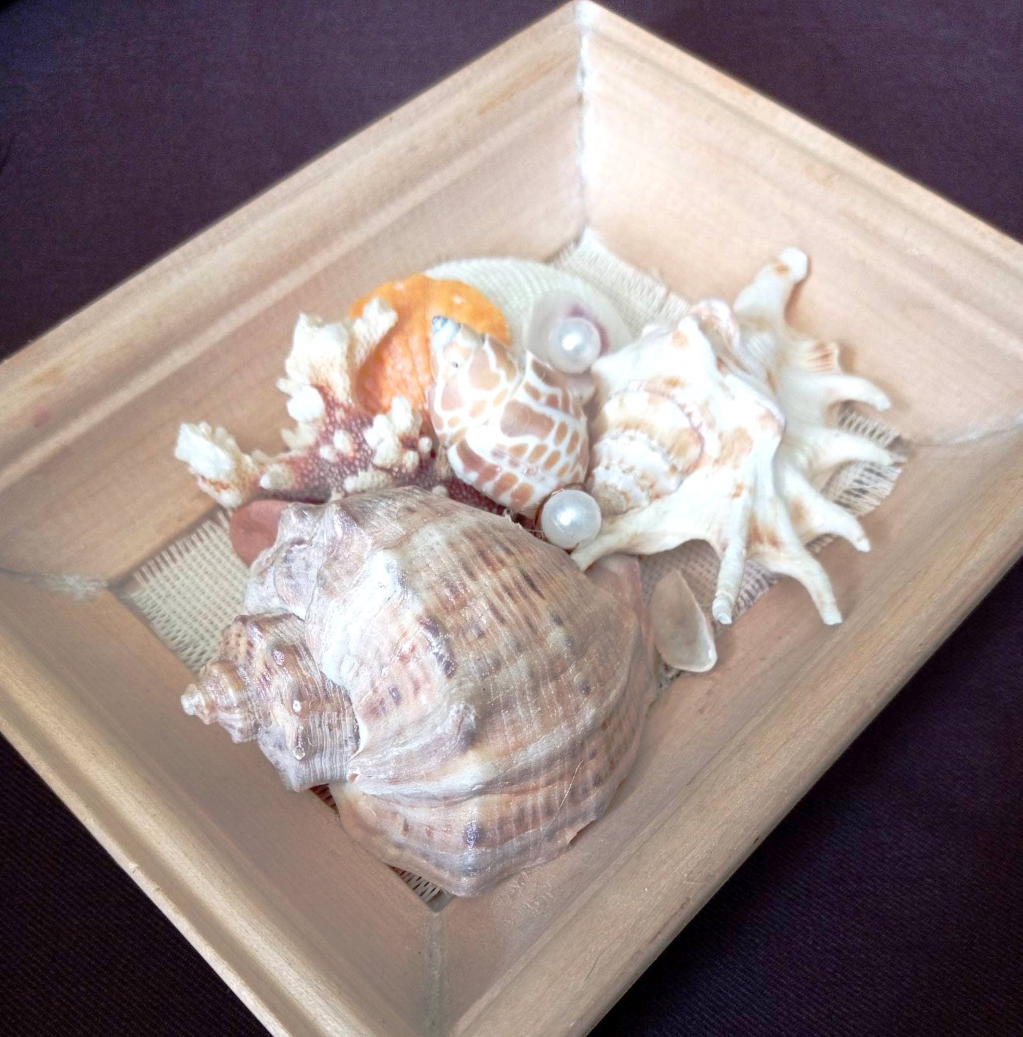 Seashell Wall Decor Shell Picture Framed Shell Wall Art Bathroom Décor ...