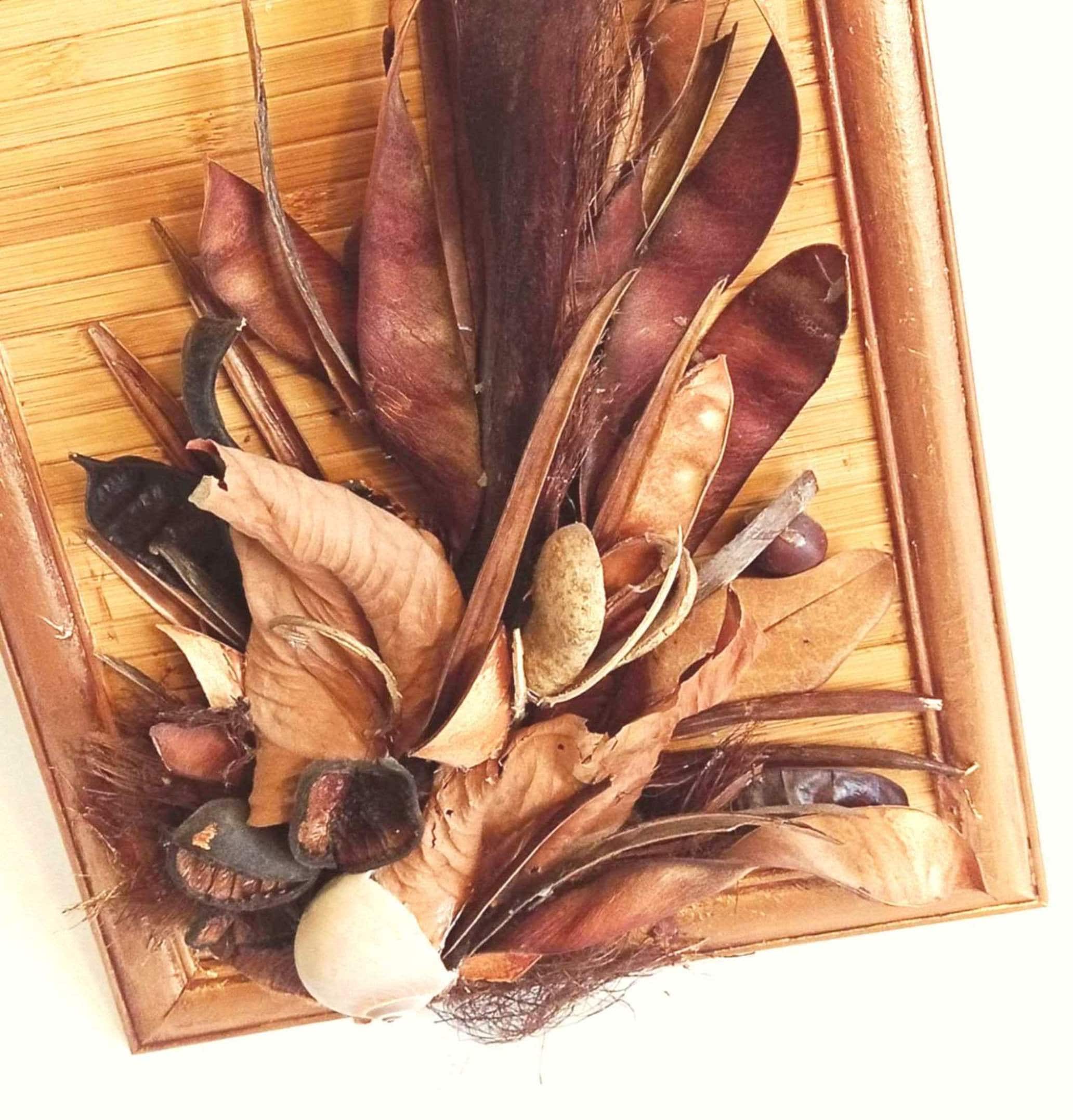 Natural Wall Art Dried Flower Framed Wall Decor Floral Art Wall Art ...