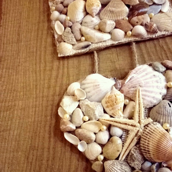 Shell Wall Decor - Etsy