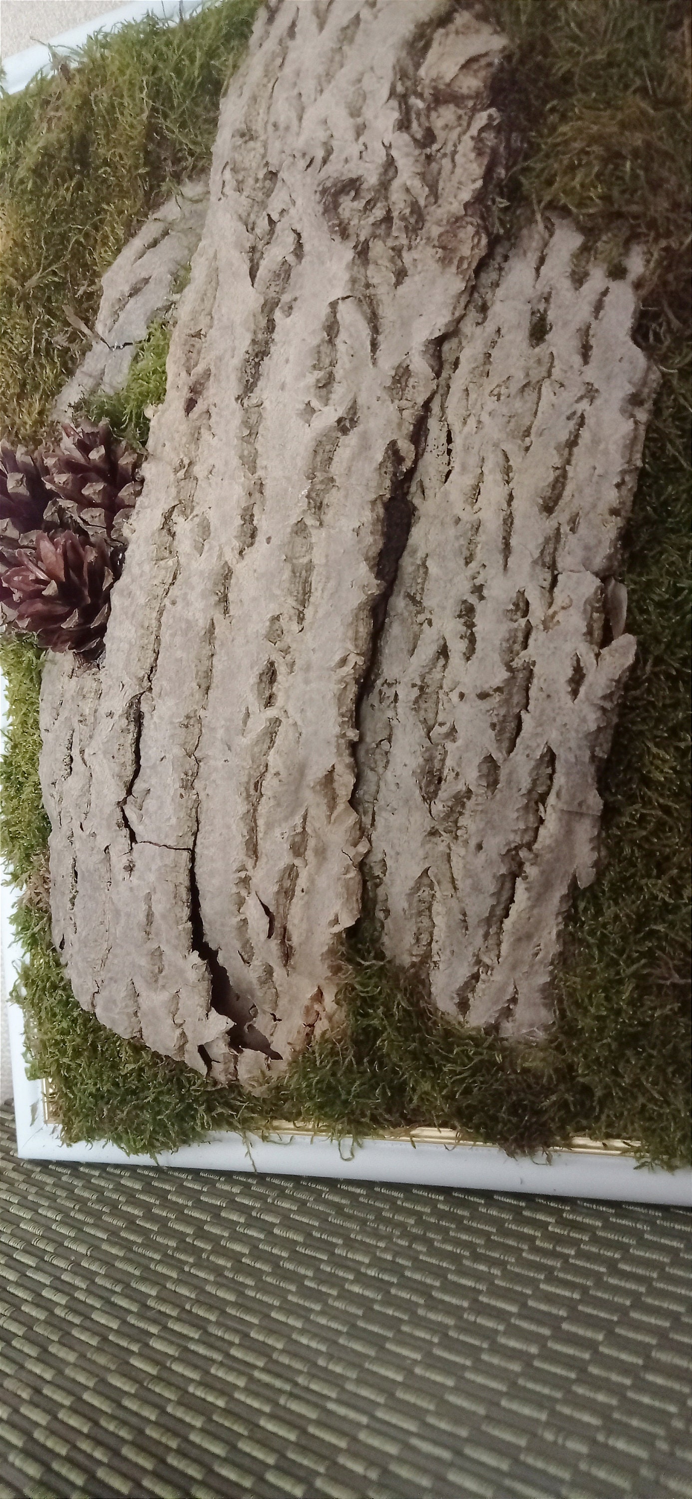 Natural Moss Wall Decor Fall Picture in Frame Dry Flowers Wall - Etsy