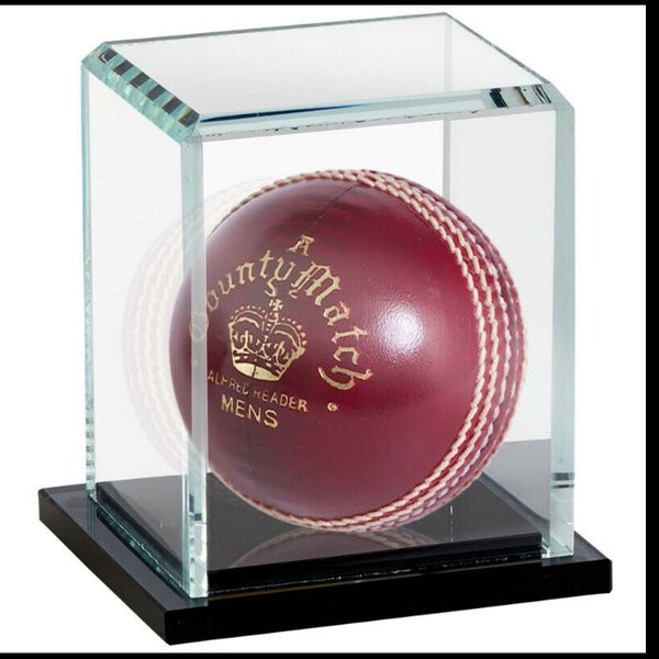 Cricket Display Case - Etsy UK