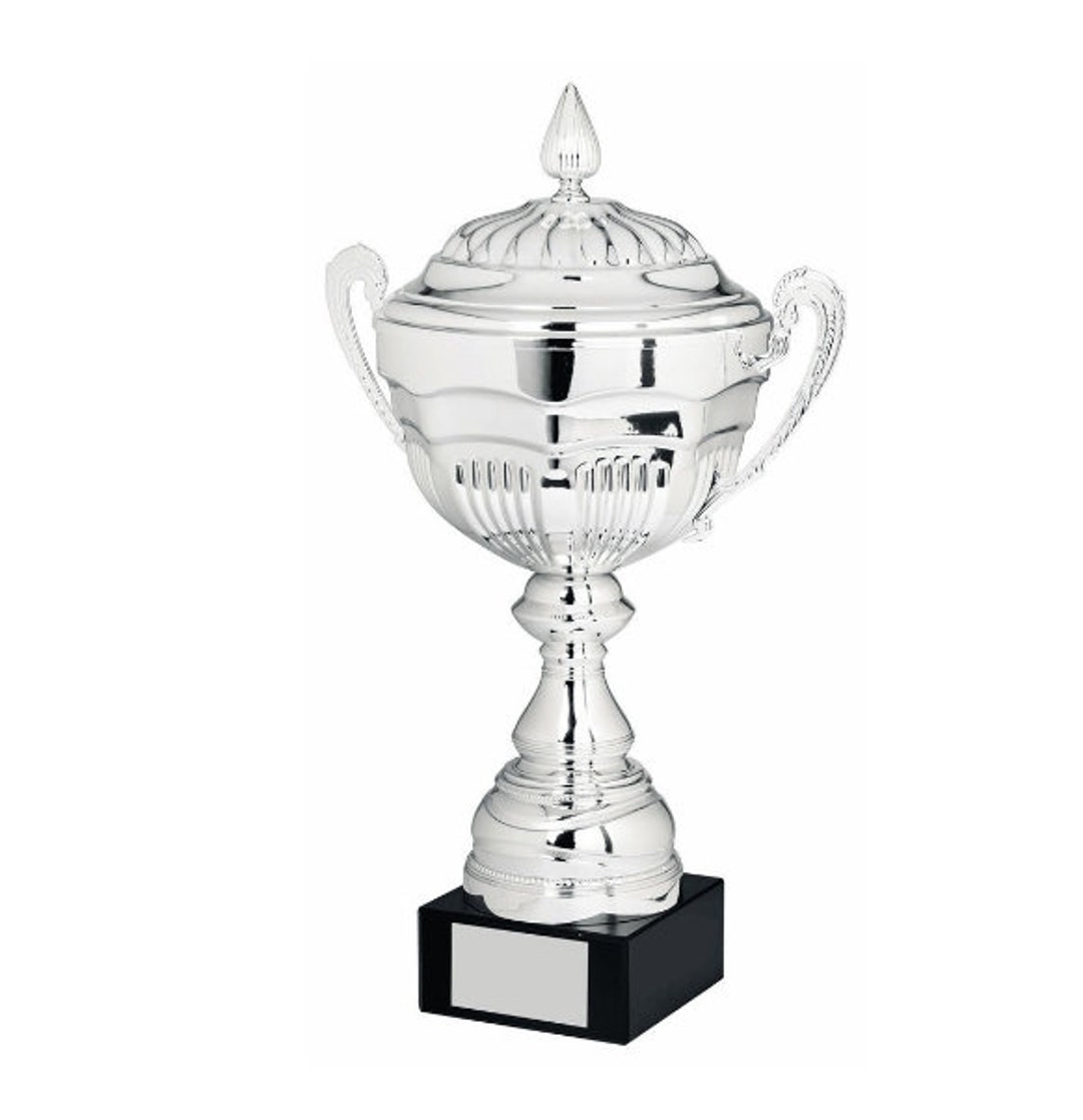 Silver Metal Trophy Cup With Lid - Personalized Engraving - Etsy