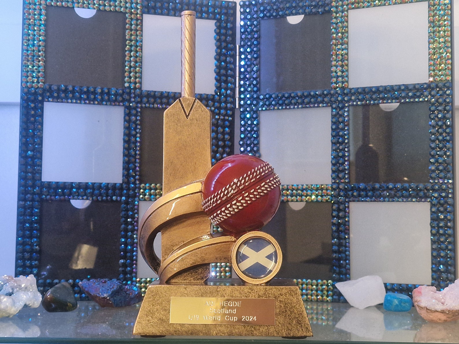 Cricket Bat Trophy Award - Personalized Engraving - Custom Insert - Etsy