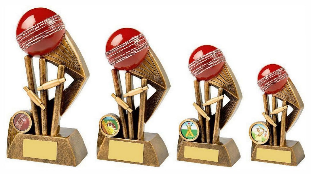 Heavy Cricket Award Trophy - Personalized Engraving - Custom Insert - Etsy