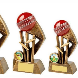 Heavy Cricket Award Trophy - Personalized Engraving - Custom Insert - Etsy