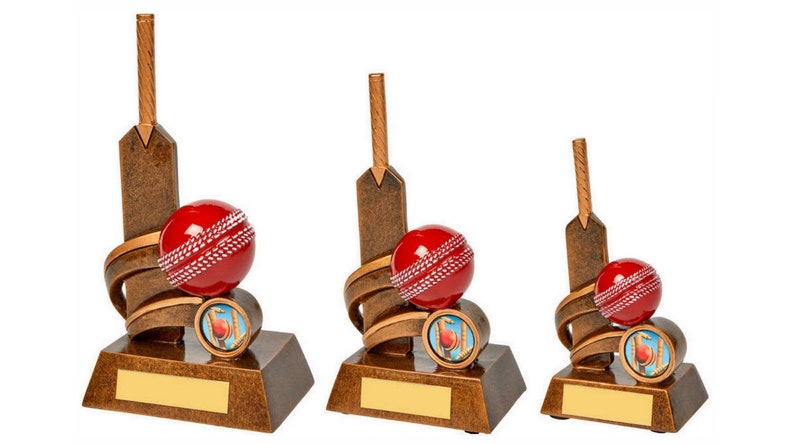 Cricket Bat Trophy Award Personalized Engraving Custom - Etsy